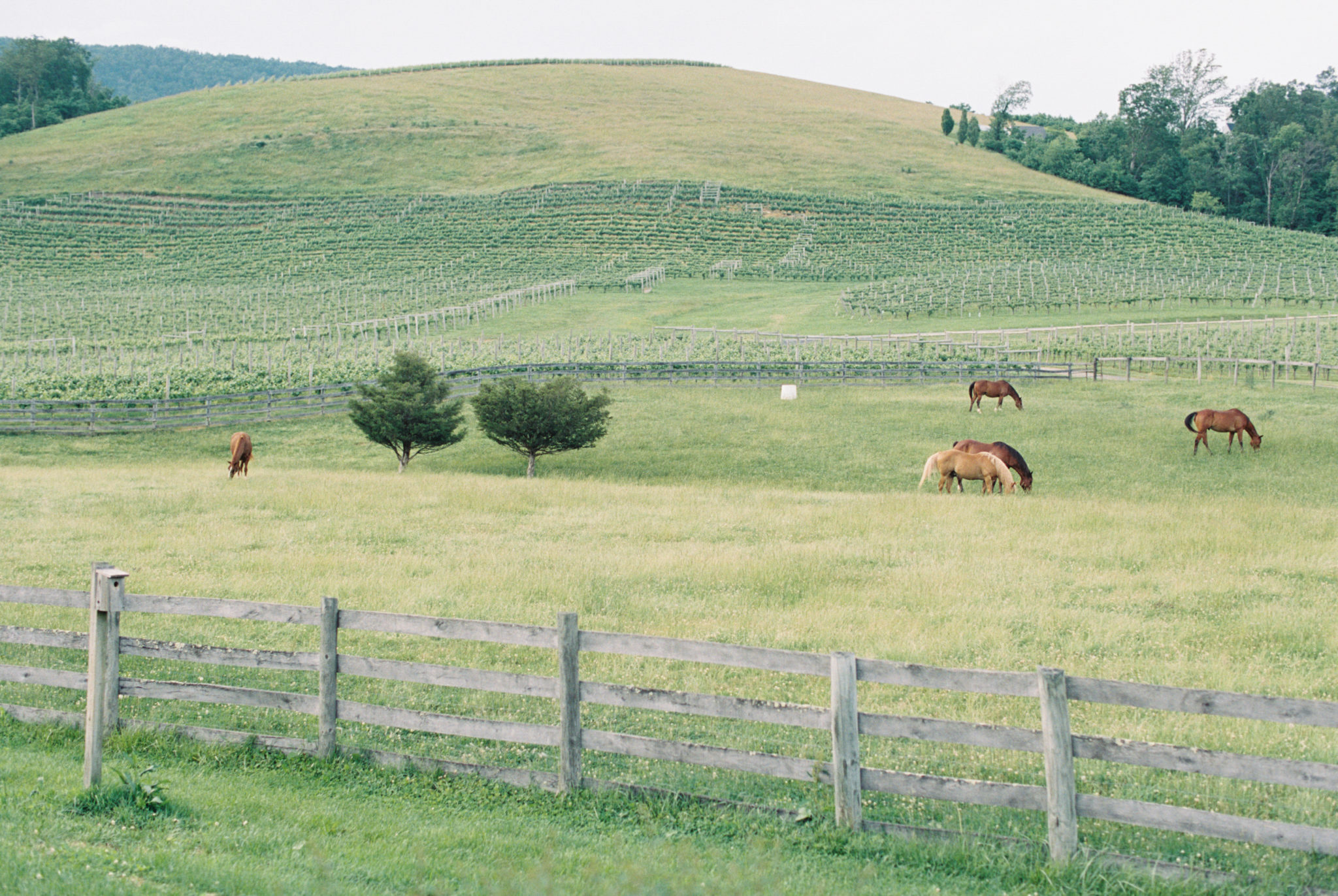 The Farmhouse at Veritas: Our Favorite Little Getaway | elizabethtate.co