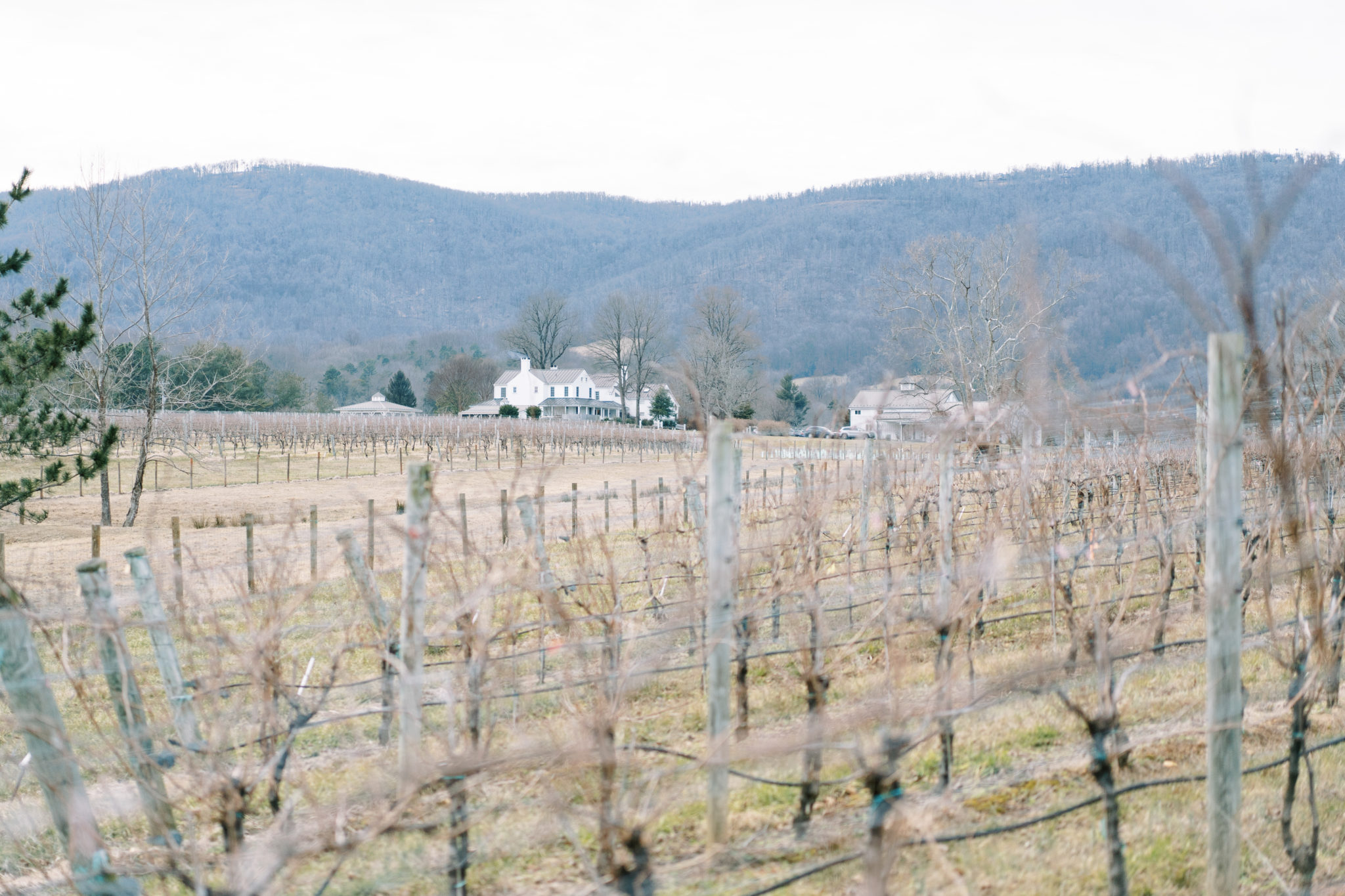 The Farmhouse at Veritas: Our Favorite Little Getaway | elizabethtate.co