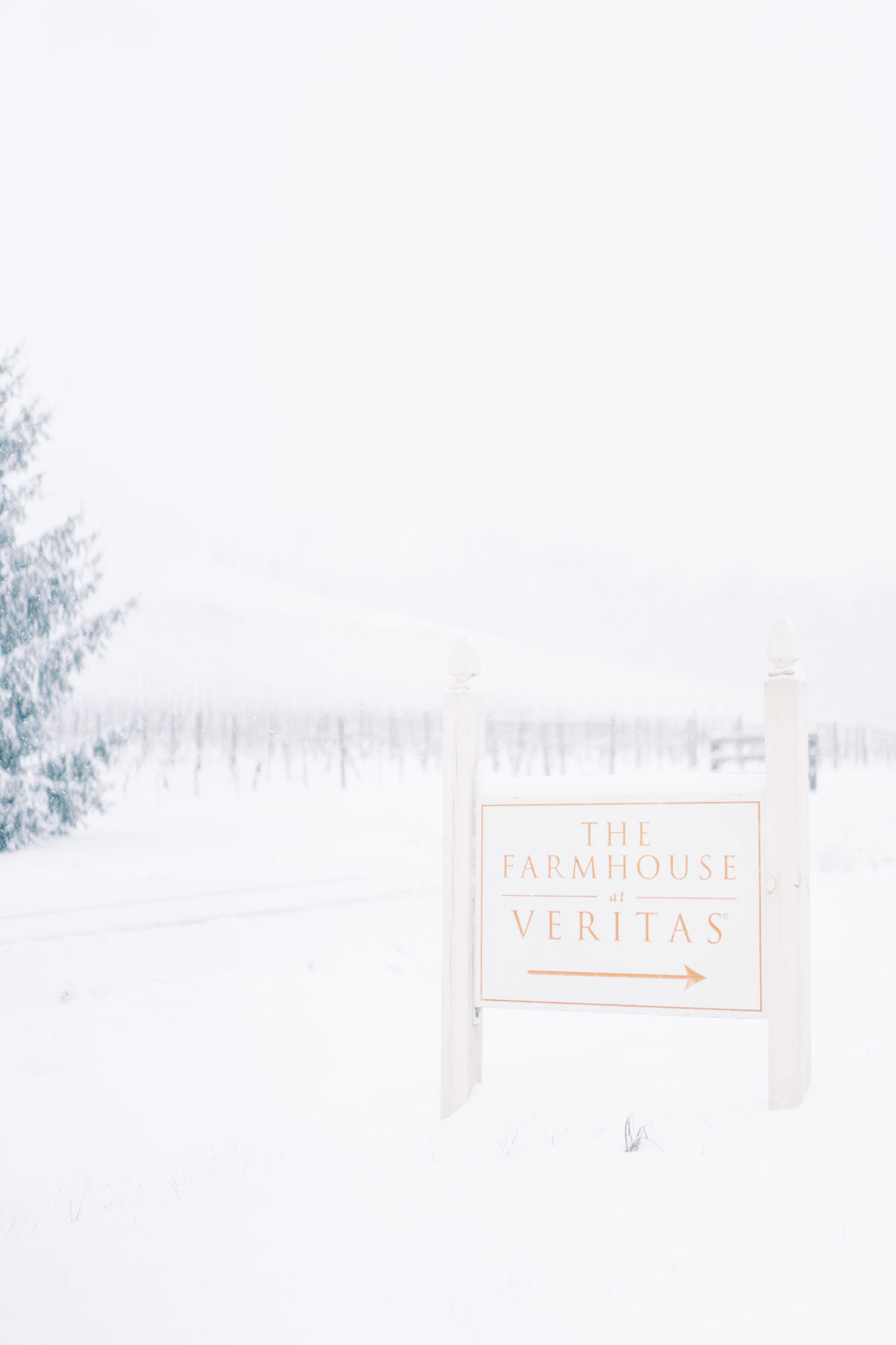 The Farmhouse at Veritas: Our Favorite Little Getaway | elizabethtate.co